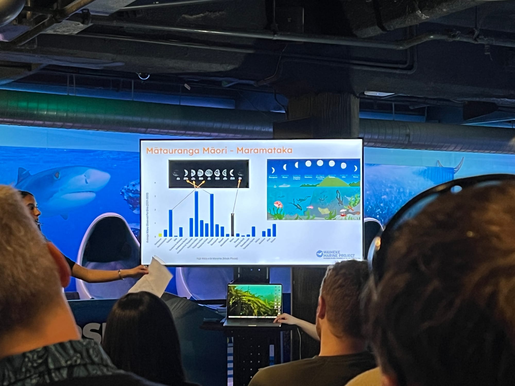 Kōura Dive Survey 2025 – Results Event | SeaKeepers