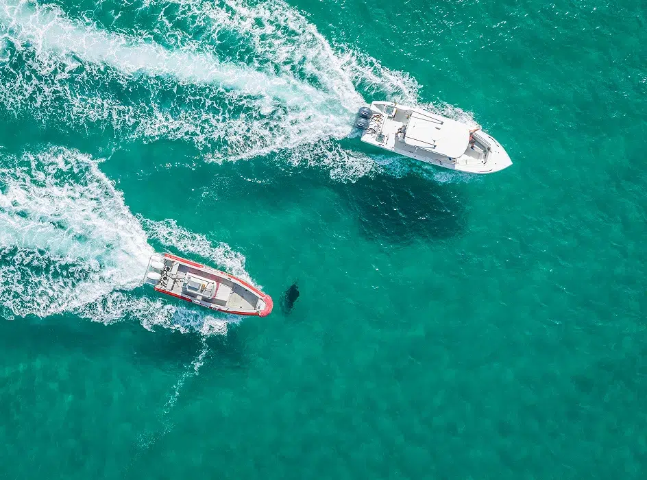 Protect FL Mantas | Submit Pledge Today - SeaKeepers