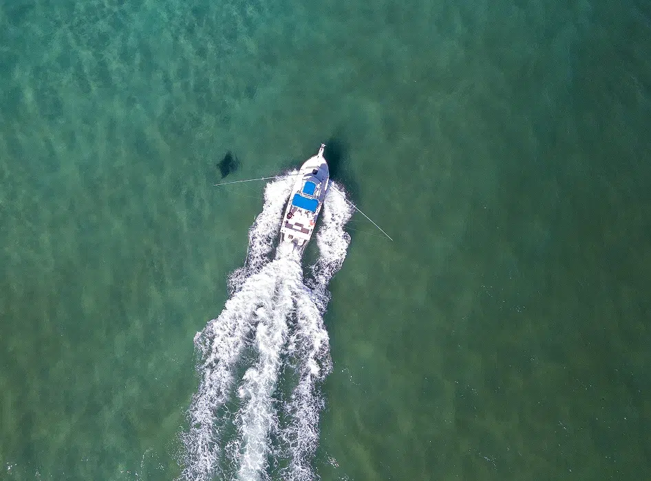 Protect FL Mantas | Submit Pledge Today - SeaKeepers